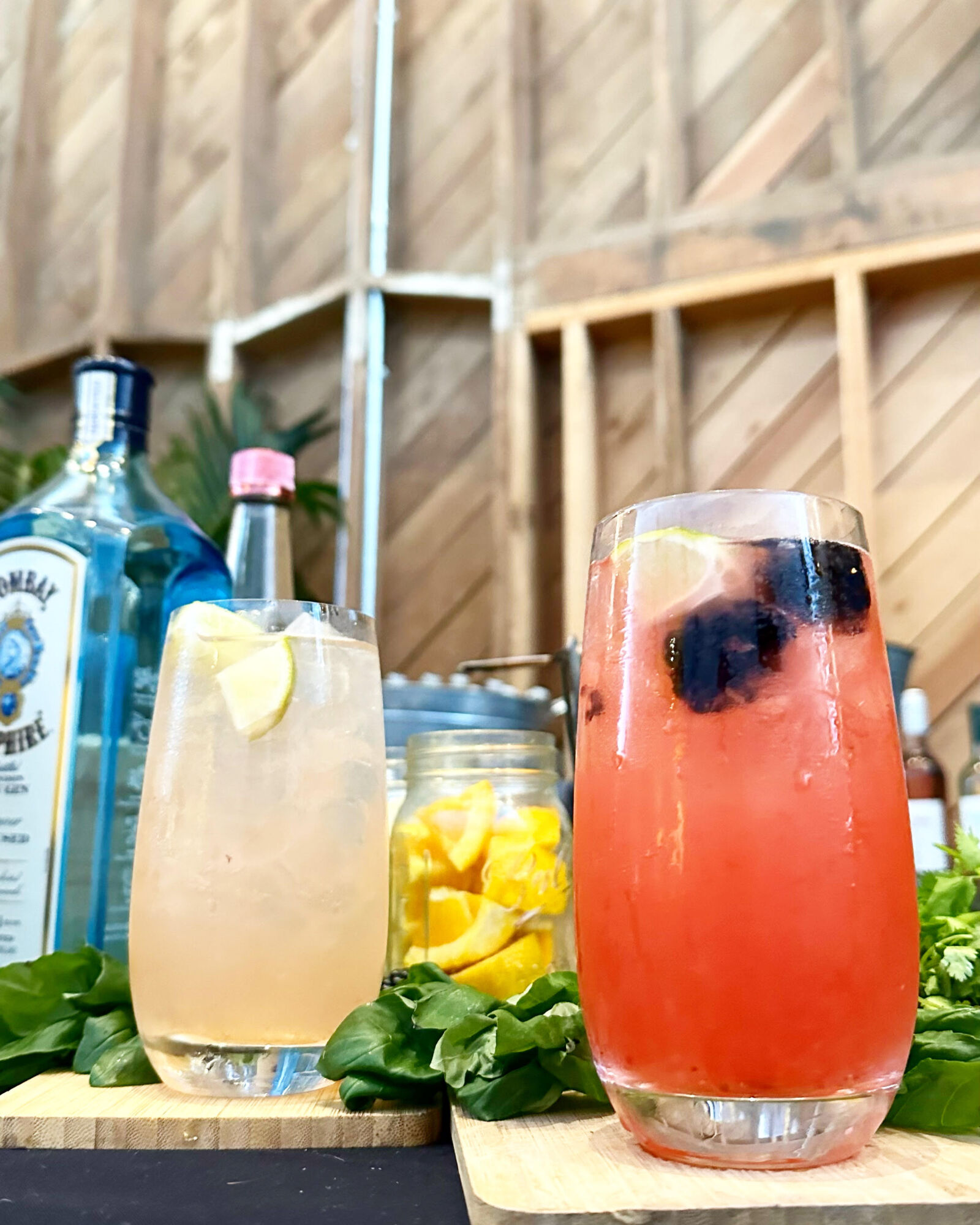 Mobile Bartender Serving Gin Rickys at Google in Los Angeles